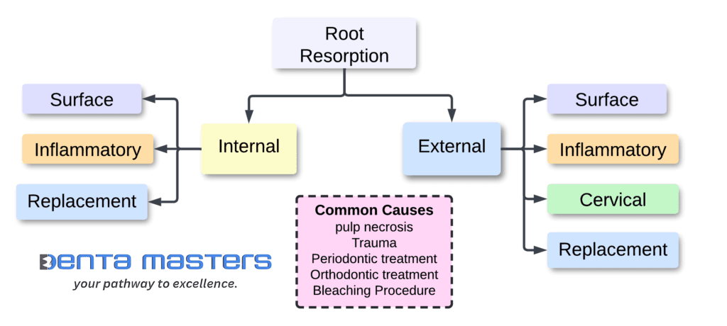 External Root Resorption - DentaMasters