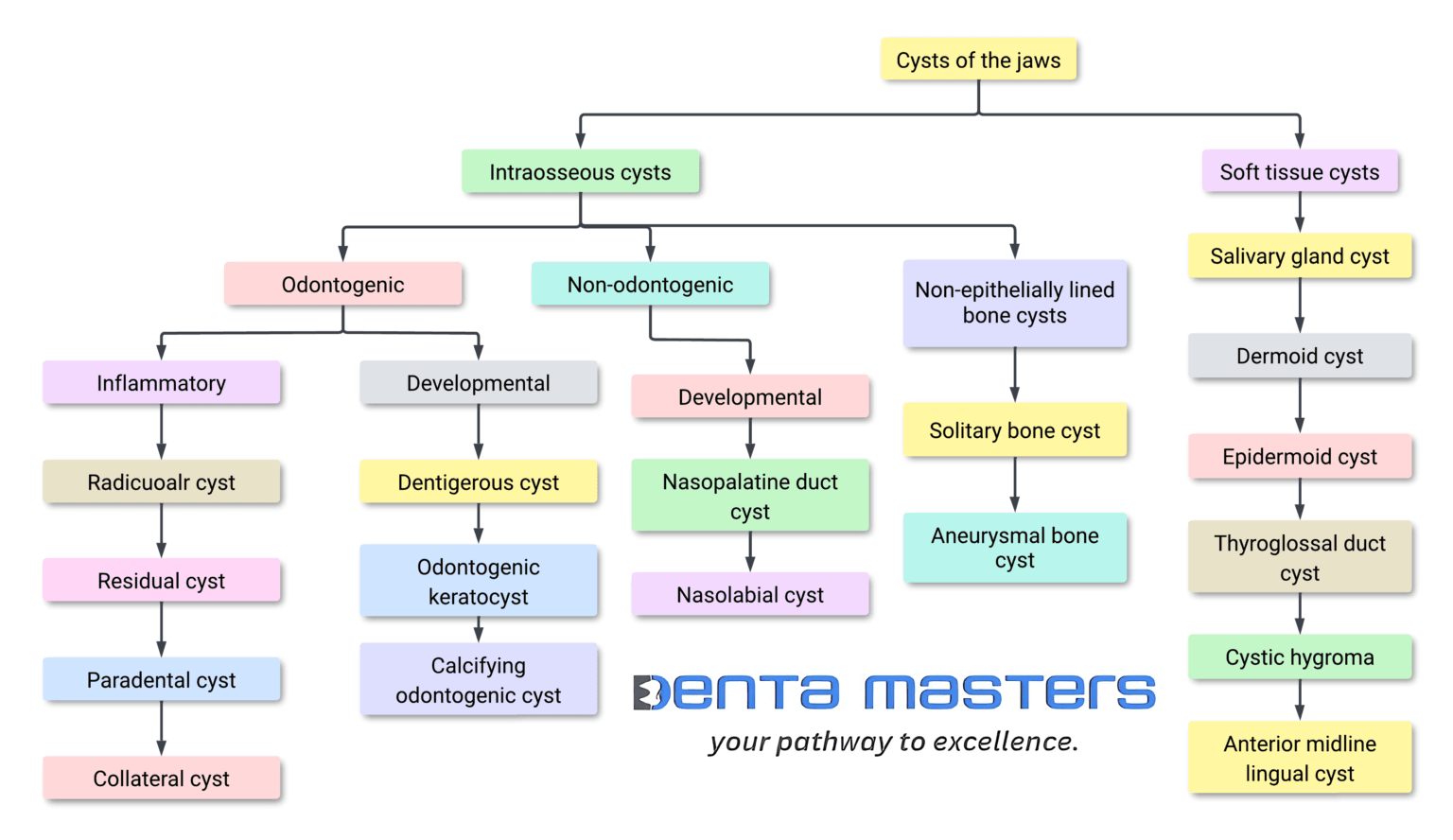 Radicular Cyst: Cause, Symptoms and Treatmen - DentaMasters