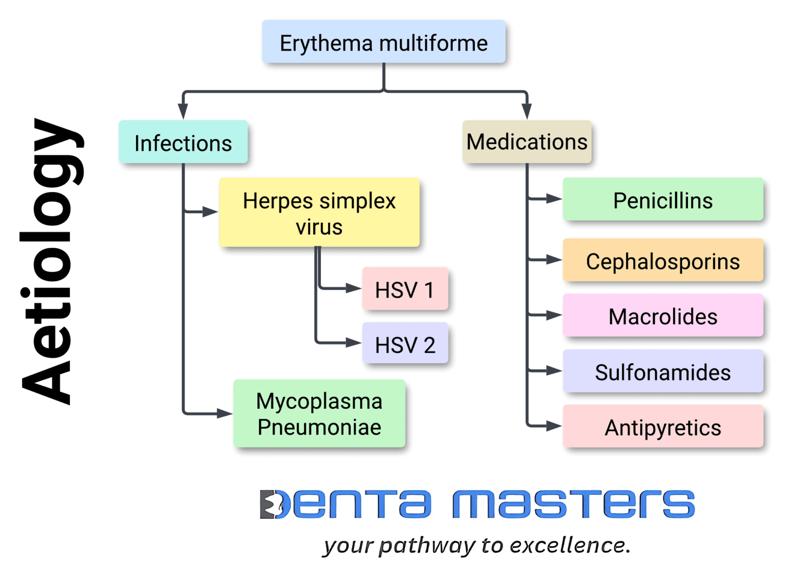 Erythema Multiforme: Types, Causes & Symptoms (Part 1)