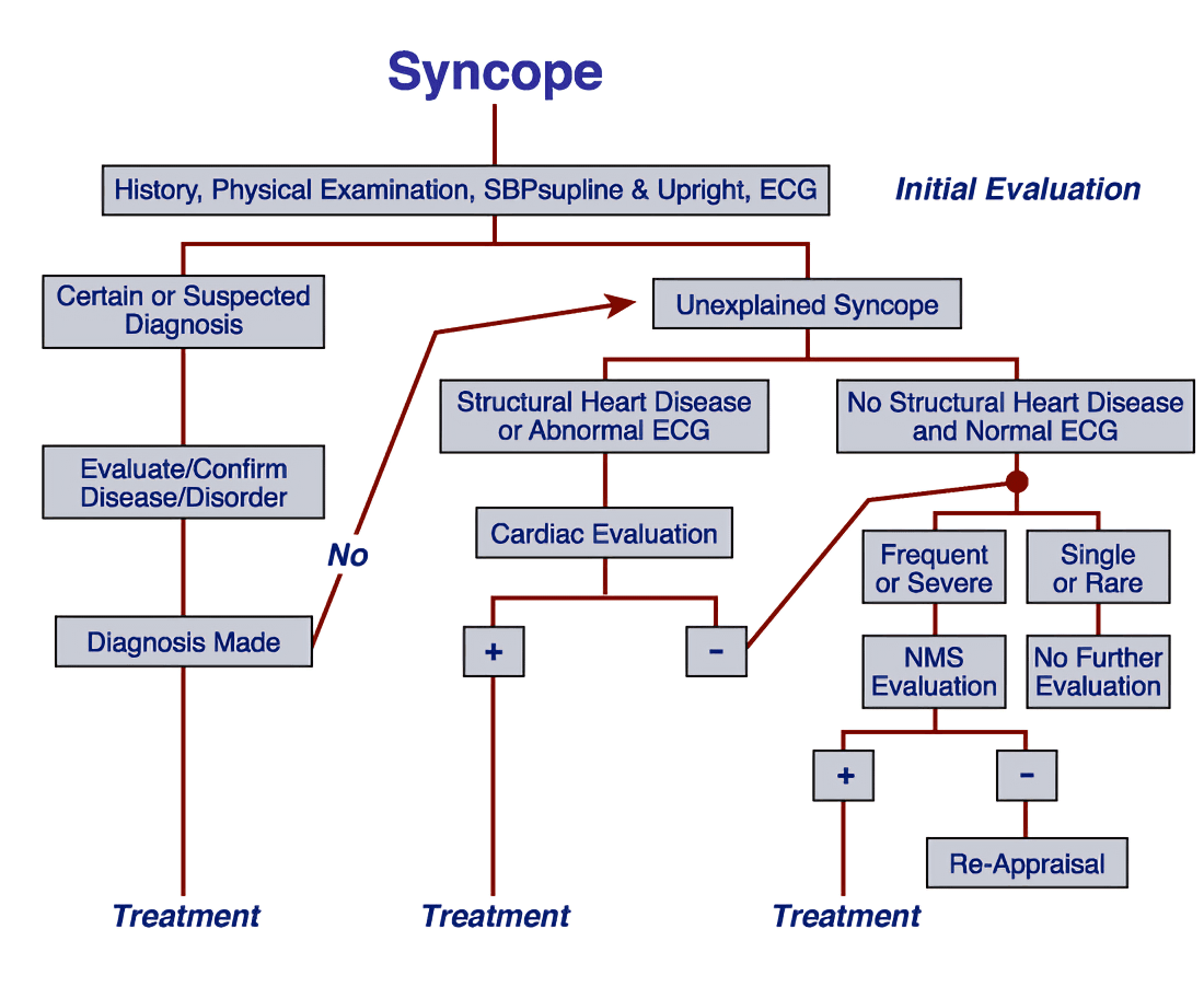 Syncope: Emergency-Management-Treatment (Part 3/3)